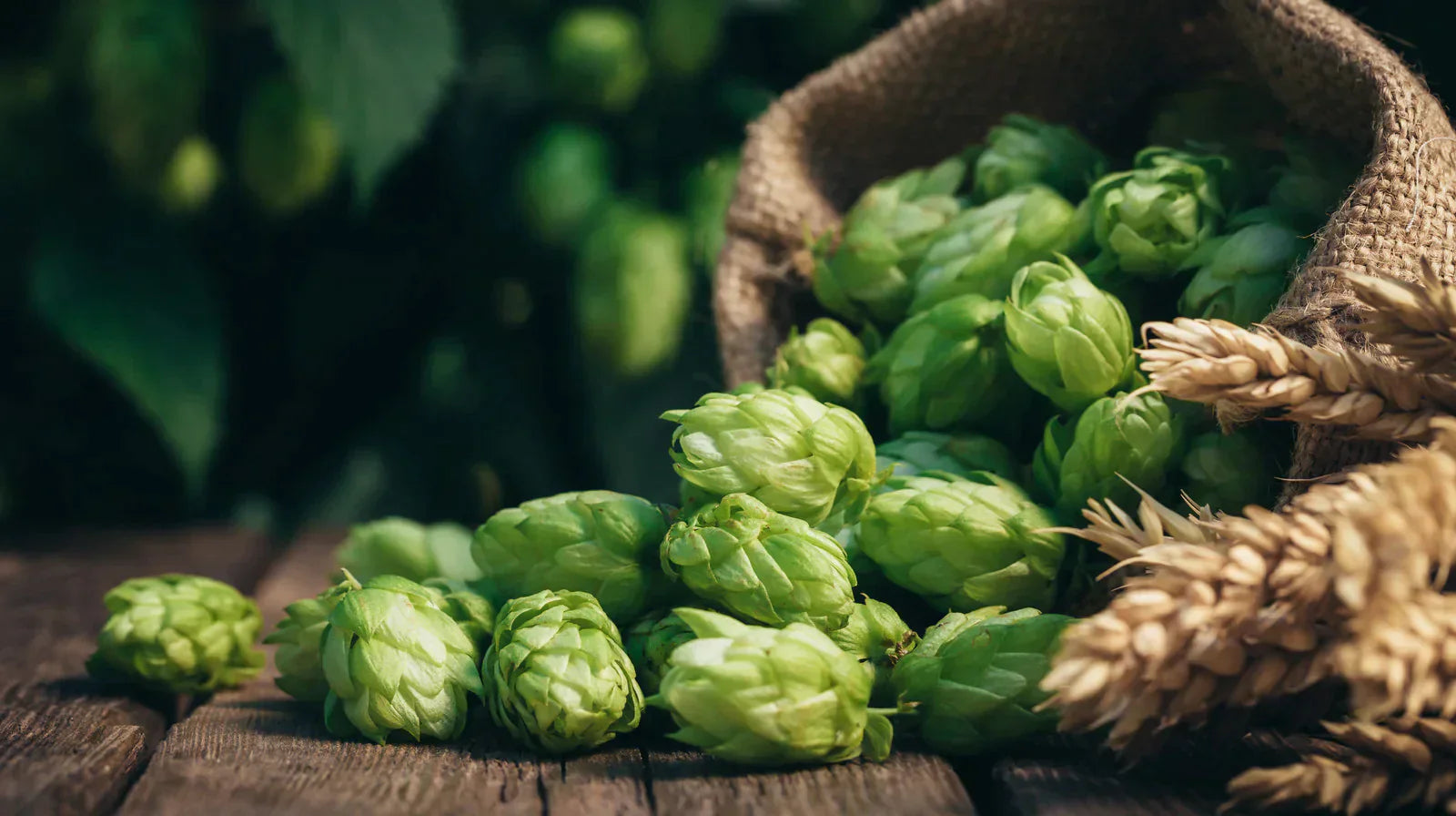 Pellet Hops – Kegland EU